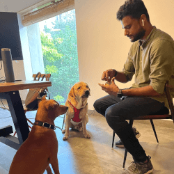 Paperflite | Spottabl